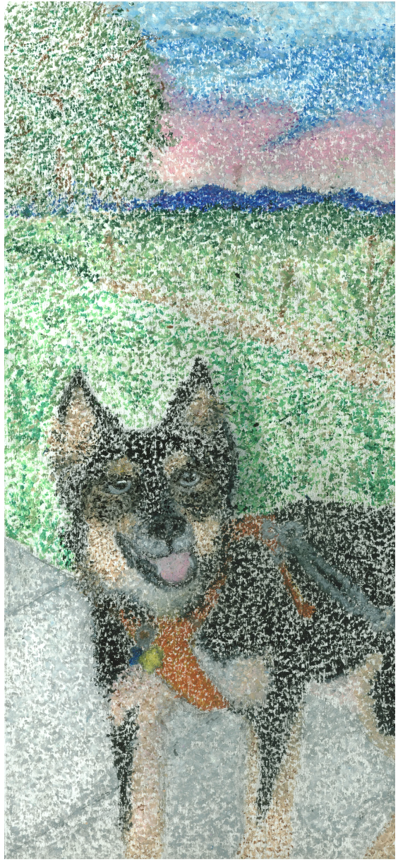 Student Banners 2023 — Boulder Arts Week