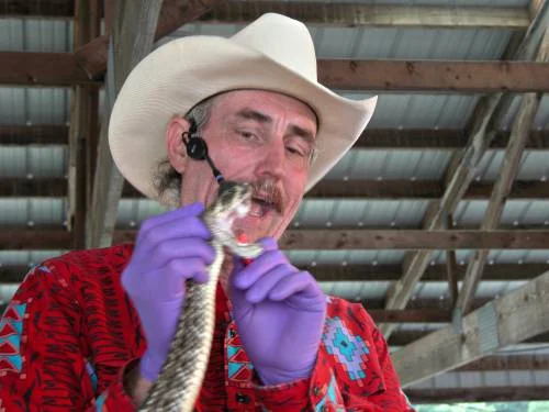 Animal Acts — Artists & Attractions - Entertainment Booking Agency for ...