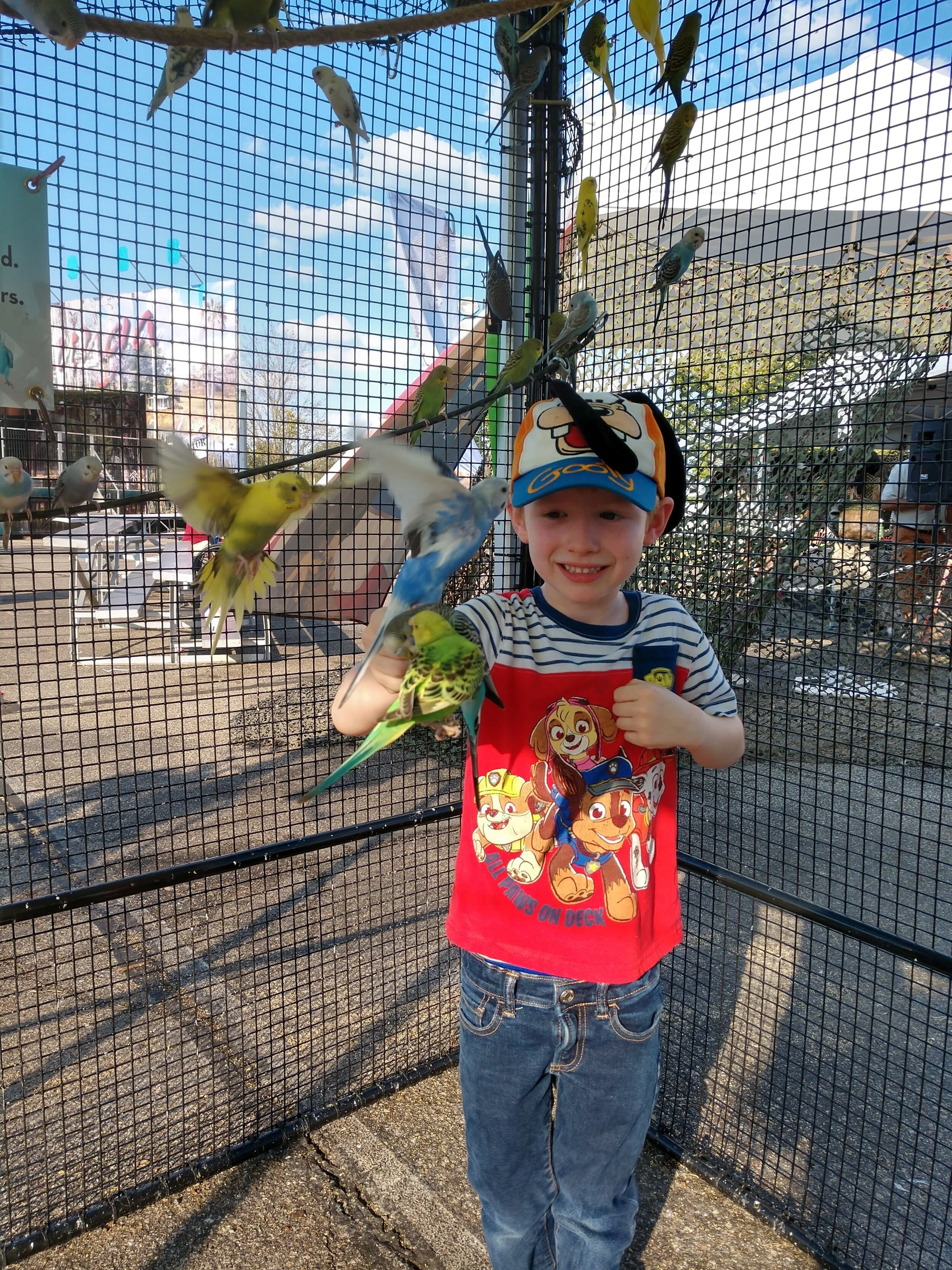 Pretty Bird Paradise — Artists & Attractions - Entertainment Booking ...