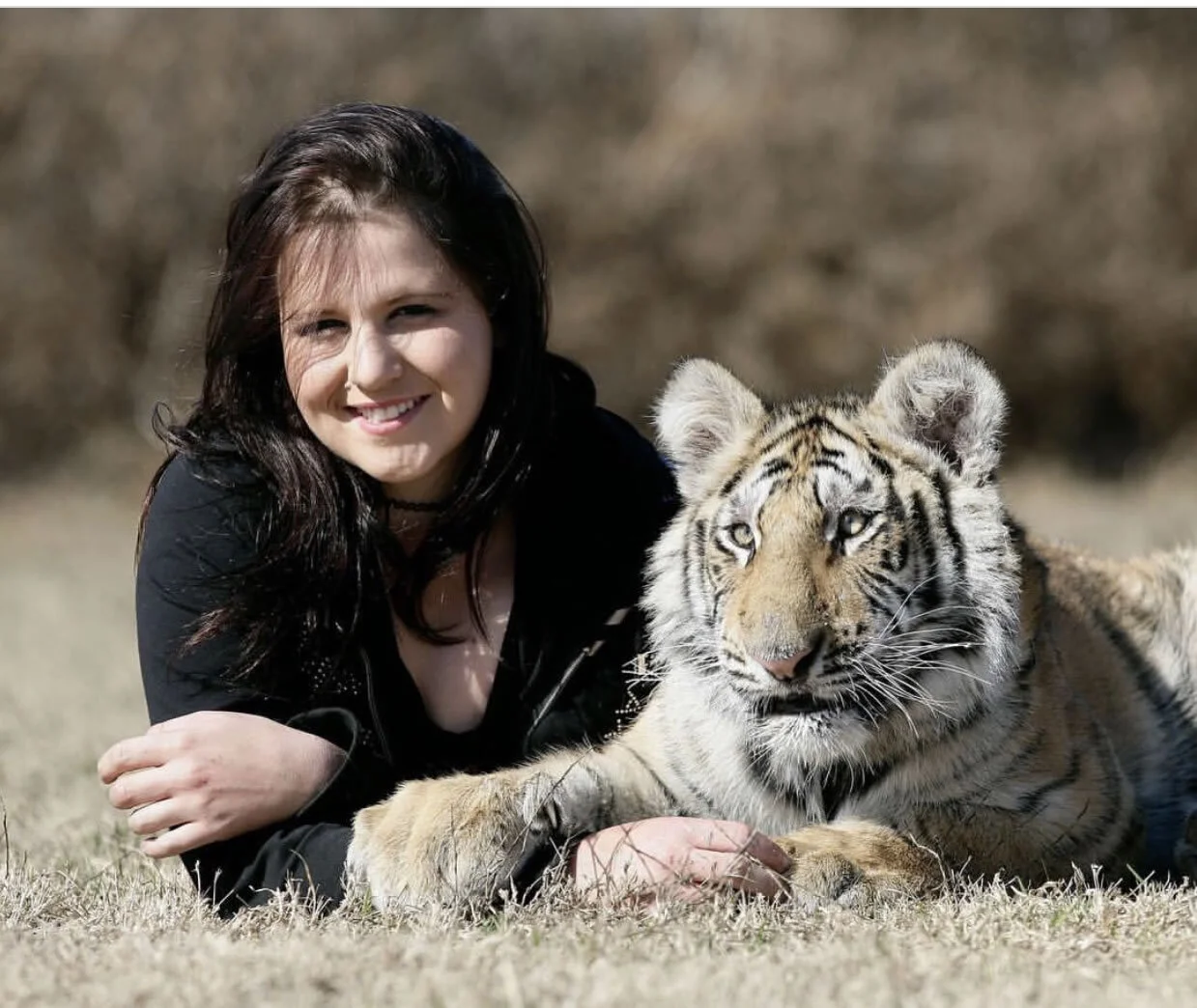 Tiger Encounter — Artists & Attractions - Entertainment Booking Agency ...