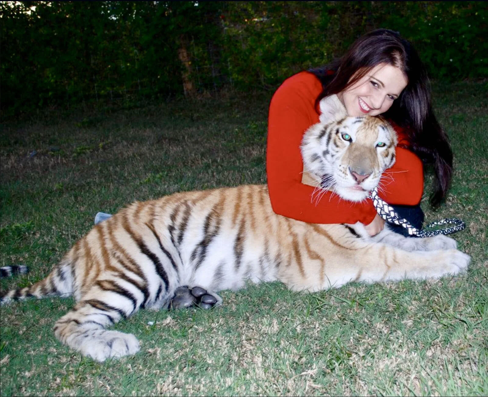 Tiger Encounter — Artists & Attractions - Entertainment Booking Agency ...