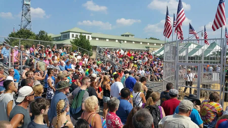 Wolves of the World — Artists & Attractions - Entertainment Booking ...