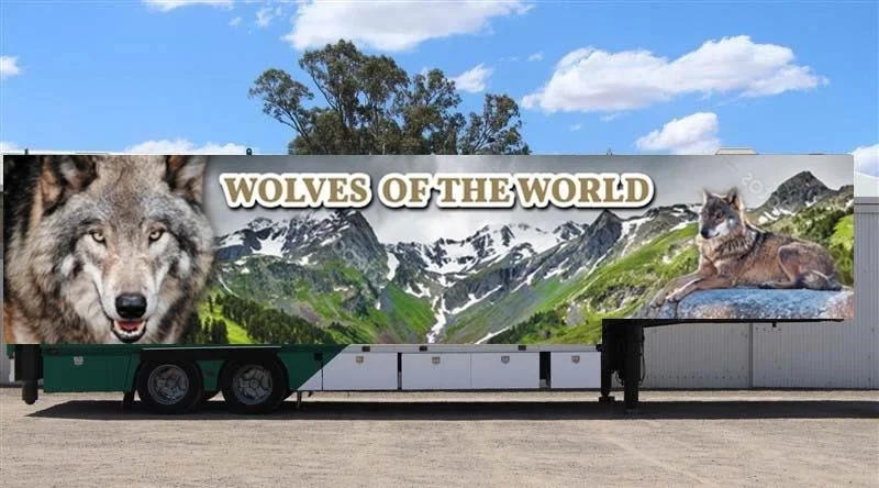 Wolves of the World — Artists & Attractions - Entertainment Booking ...
