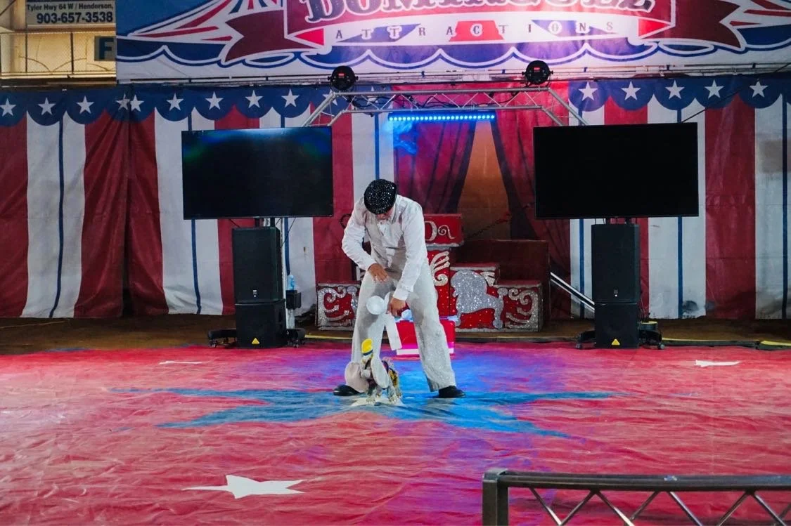 Royal Legacy Circus — Artists & Attractions - Entertainment Booking ...