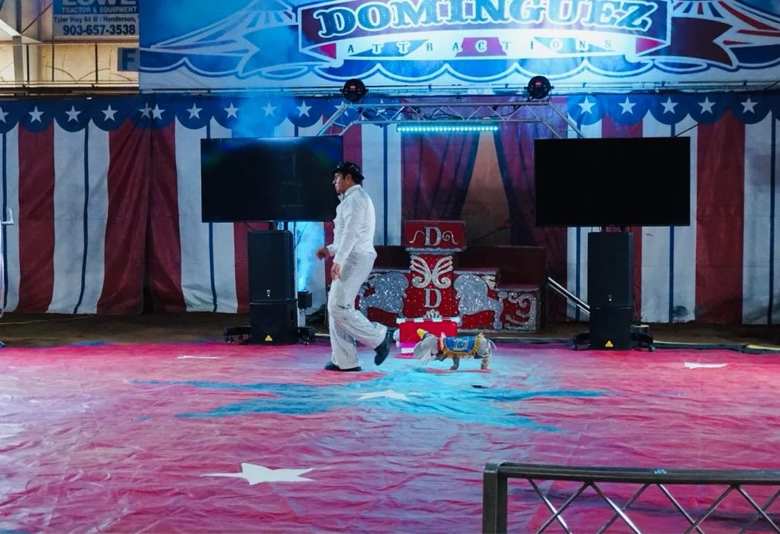 Royal Legacy Circus — Artists & Attractions - Entertainment Booking ...