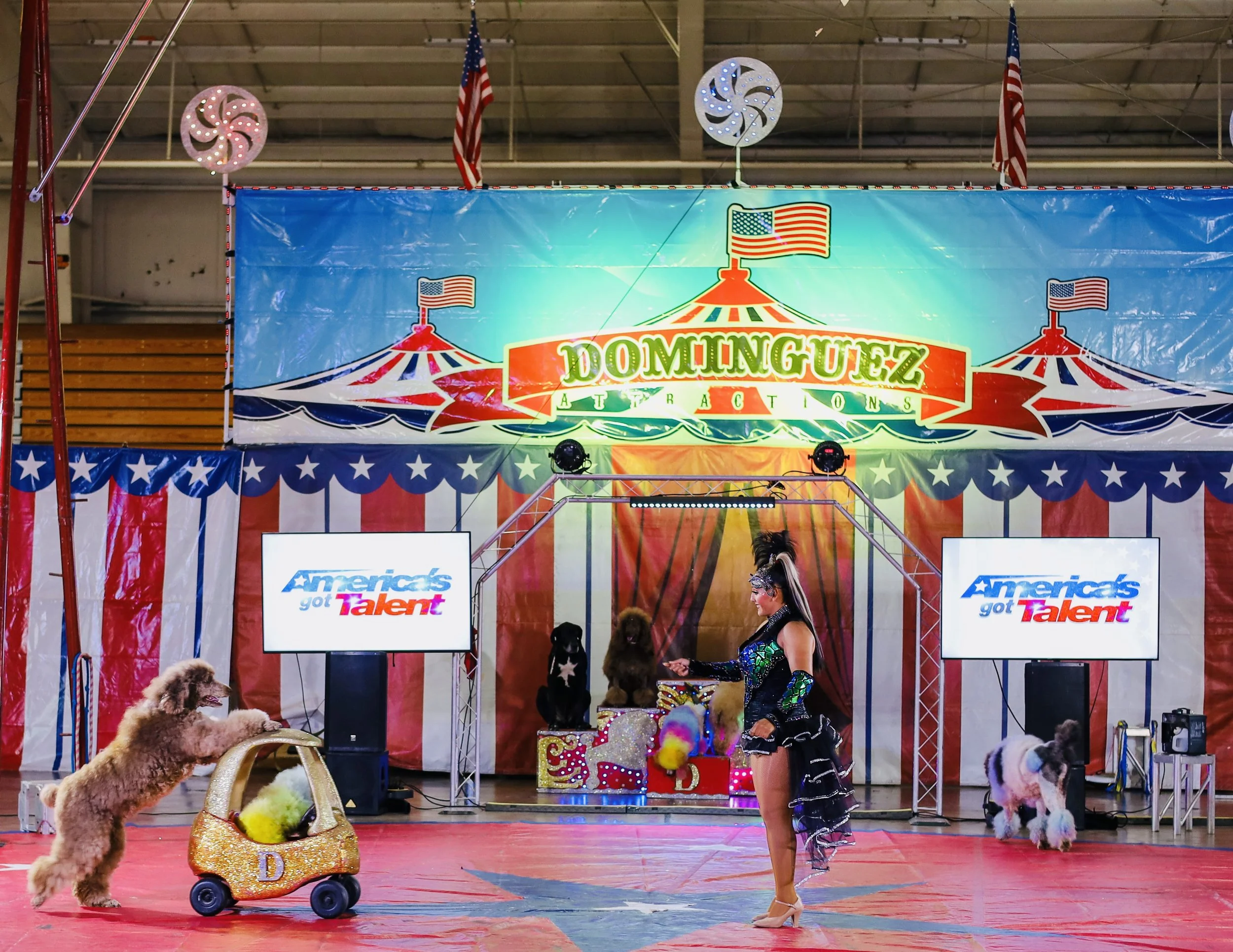 Royal Legacy Circus — Artists & Attractions - Entertainment Booking ...