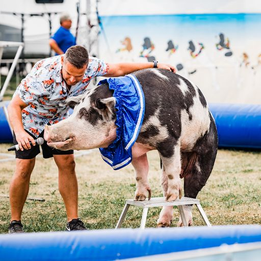 Hog Diggity Dogs & More — Artists & Attractions - Entertainment Booking ...