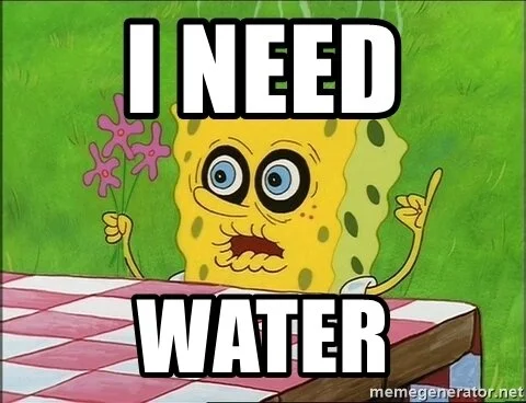 Spongebob Needs Water
