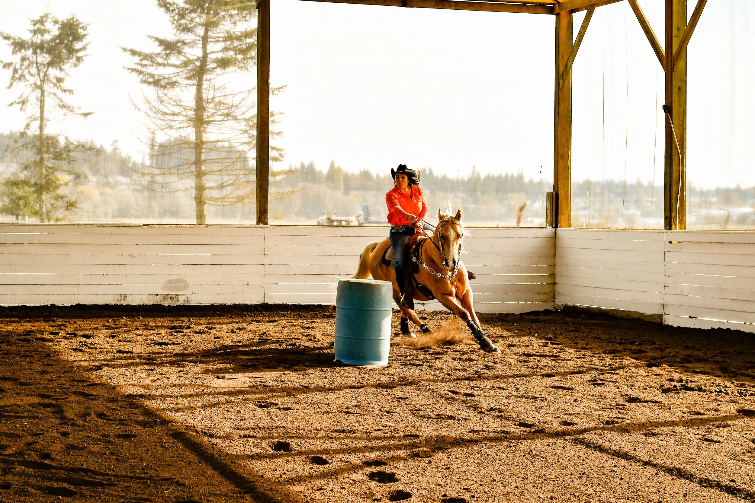 Ready to Ride Training Inc.