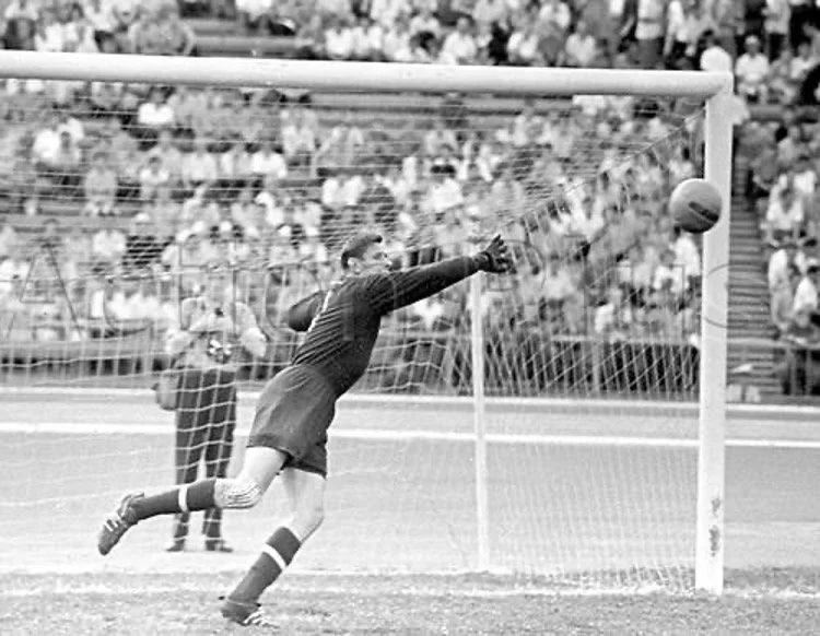 Top 12 Goalkeepers in Football History — Everybody Soccer