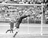 Top 12 Goalkeepers in Football History — Everybody Soccer