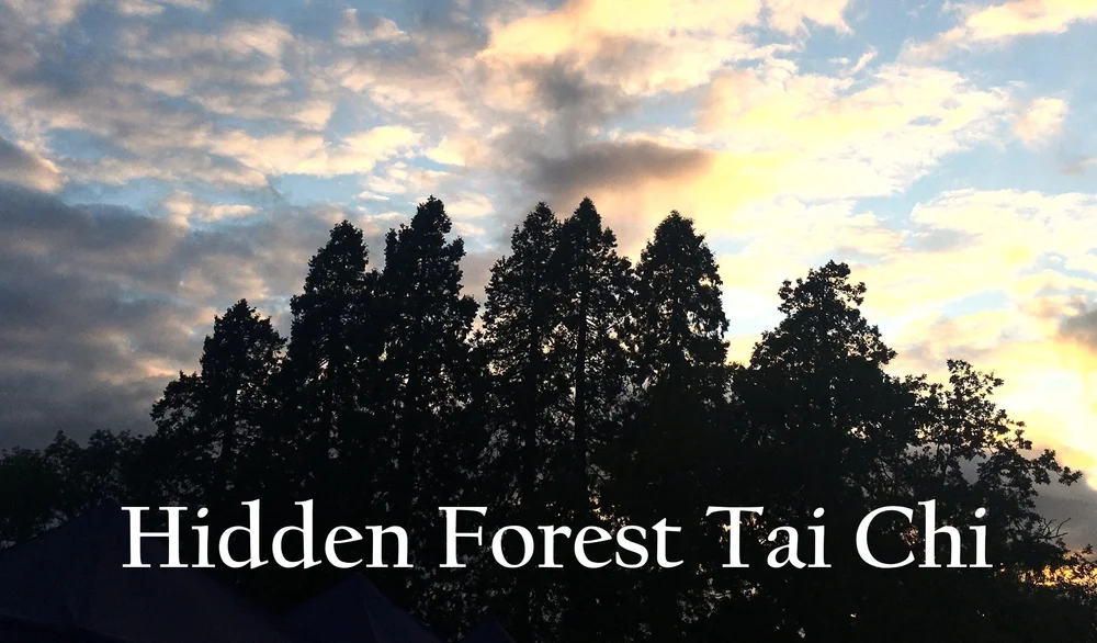 Tai Chi for Embodiment — Francis Briers