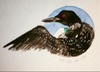 Lowertown Lofts Artist Liz Carlson and Bird Bits in the Gallery ...