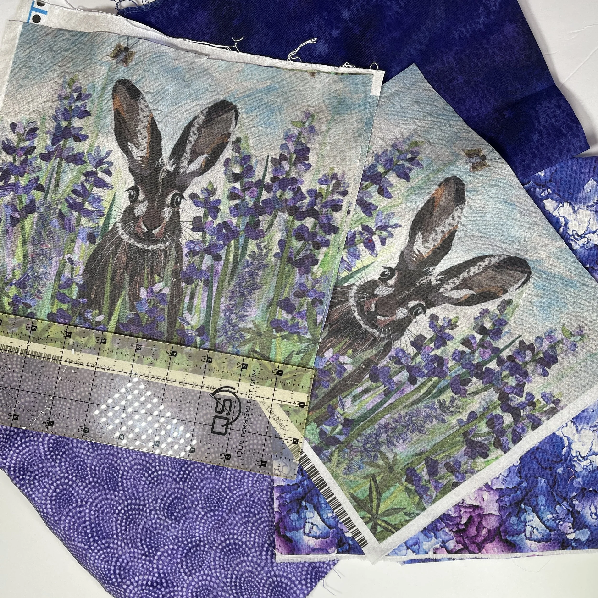 Shop — Jane Haworth