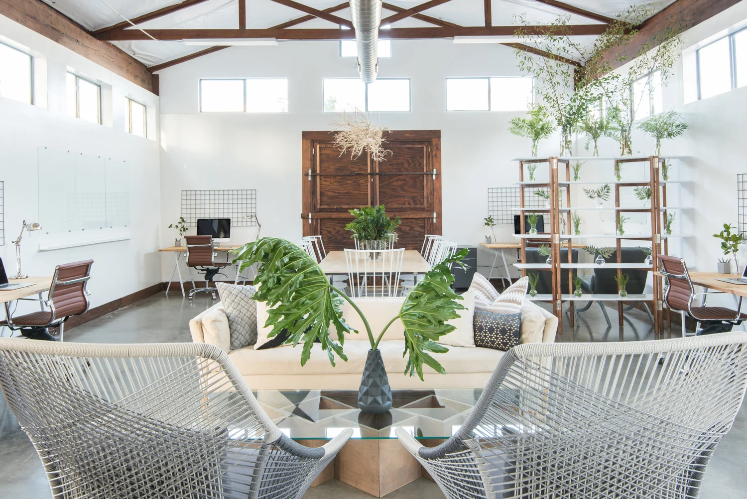 Commercial — Matthew Tsang