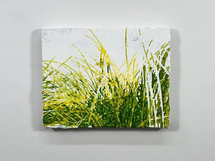STORE | Purchase Artwork by HBT — HOLLIS BROWN THORNTON