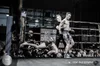 W.L Fight Photography