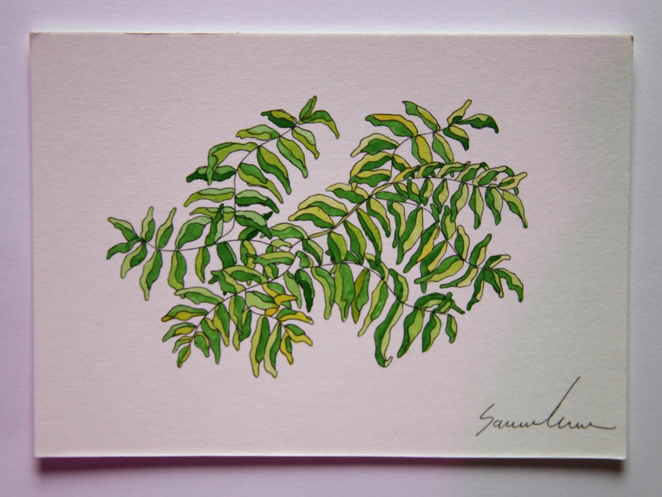 Small Drawings — Samara Thomas