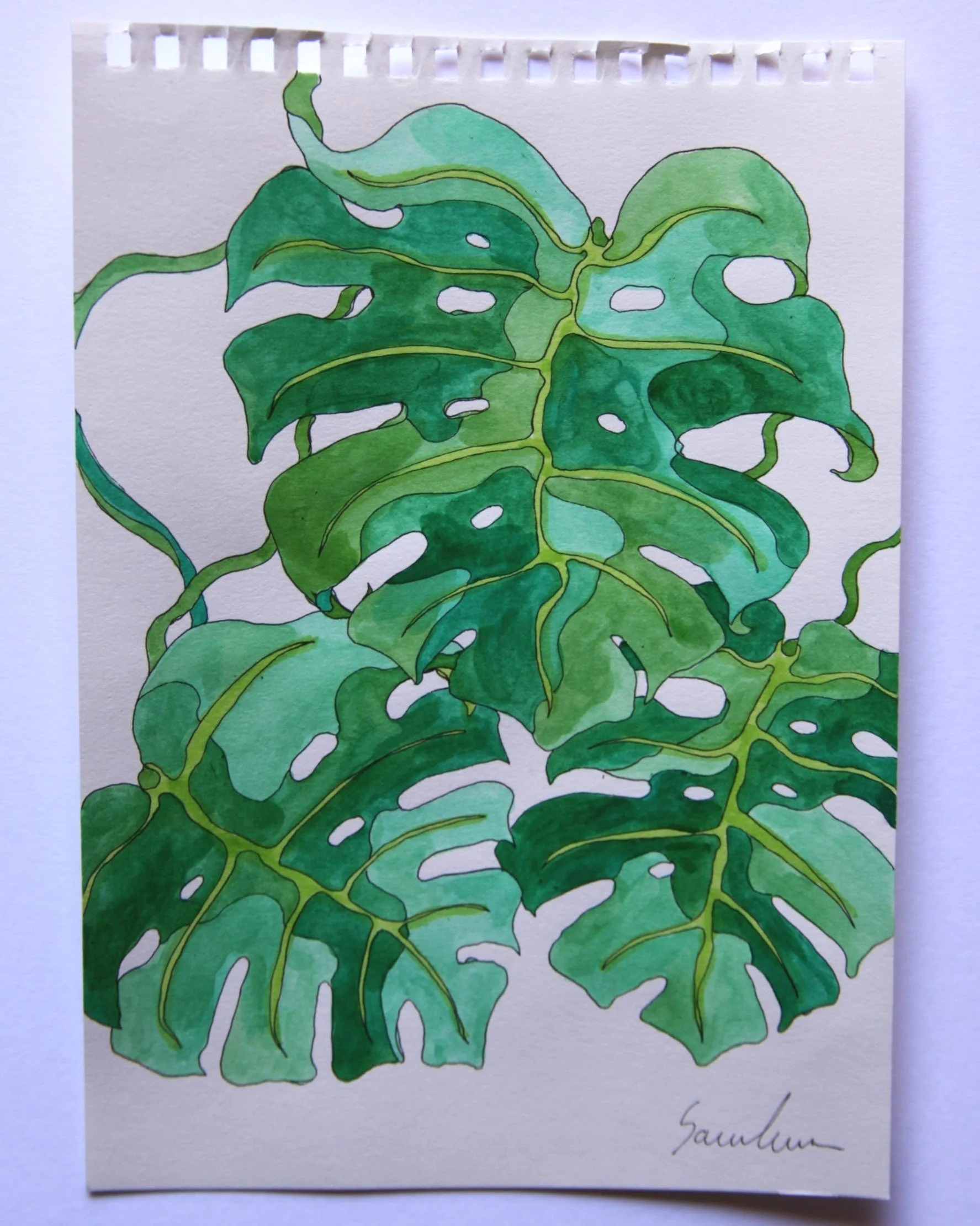 Medium Drawings — Samara Thomas