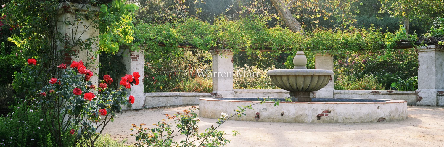 Mission Fountain With Red Roses — WARREN MARR
