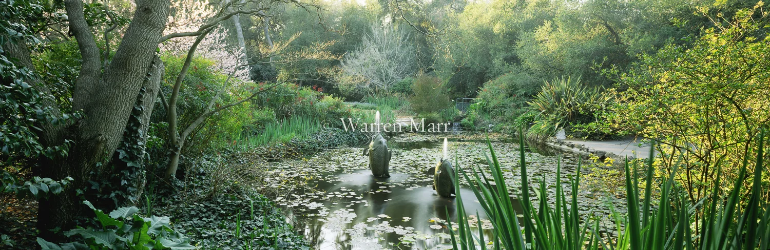 Spouting Fish Fountain Pond — WARREN MARR