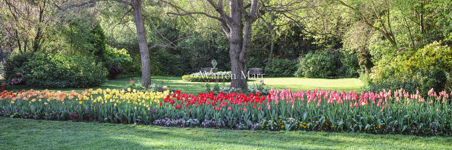 Sundial Lawn With Promenade Tulips — WARREN MARR