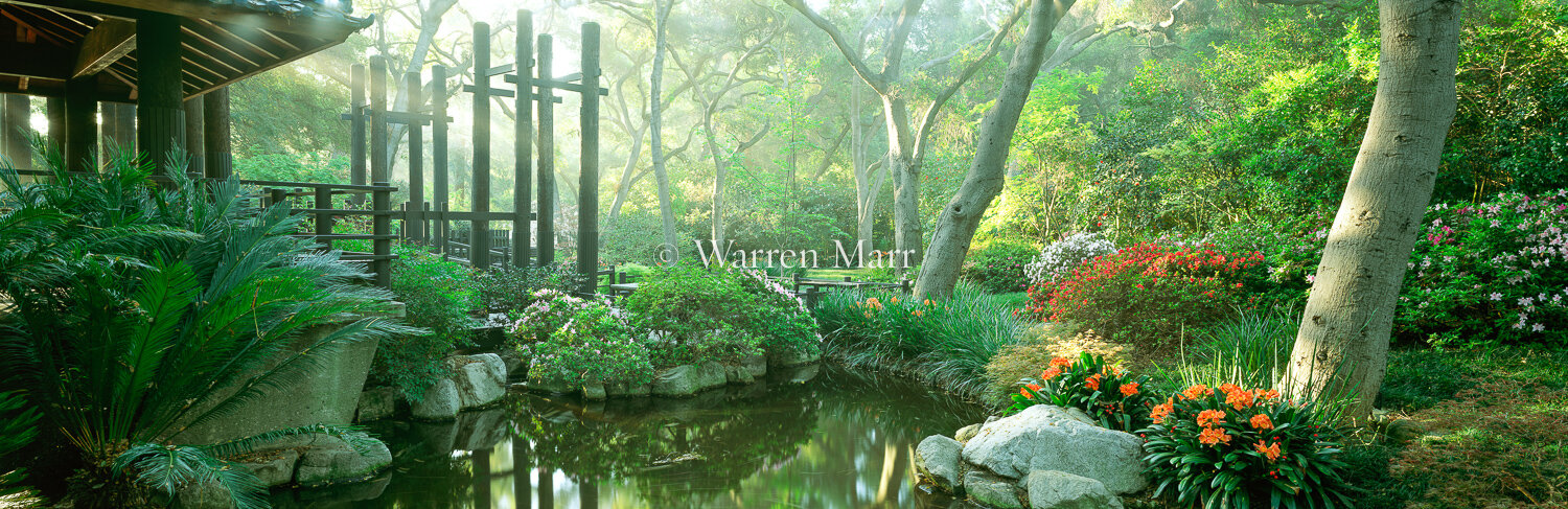 Descanso — WARREN MARR