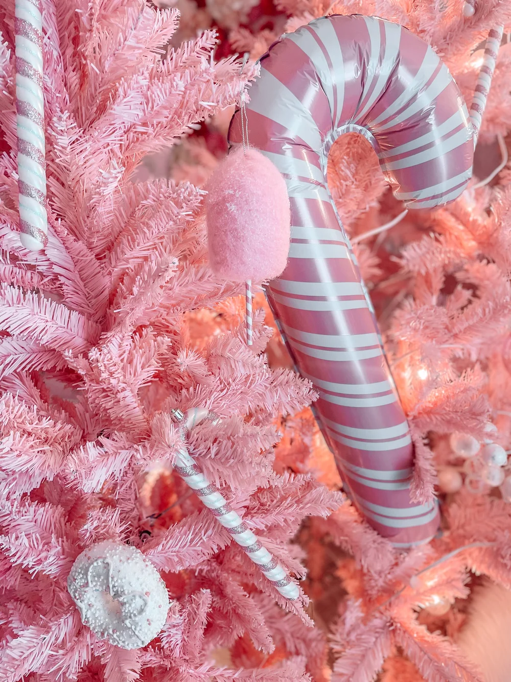 Pink Christmas wonderland special! — Davista Photography