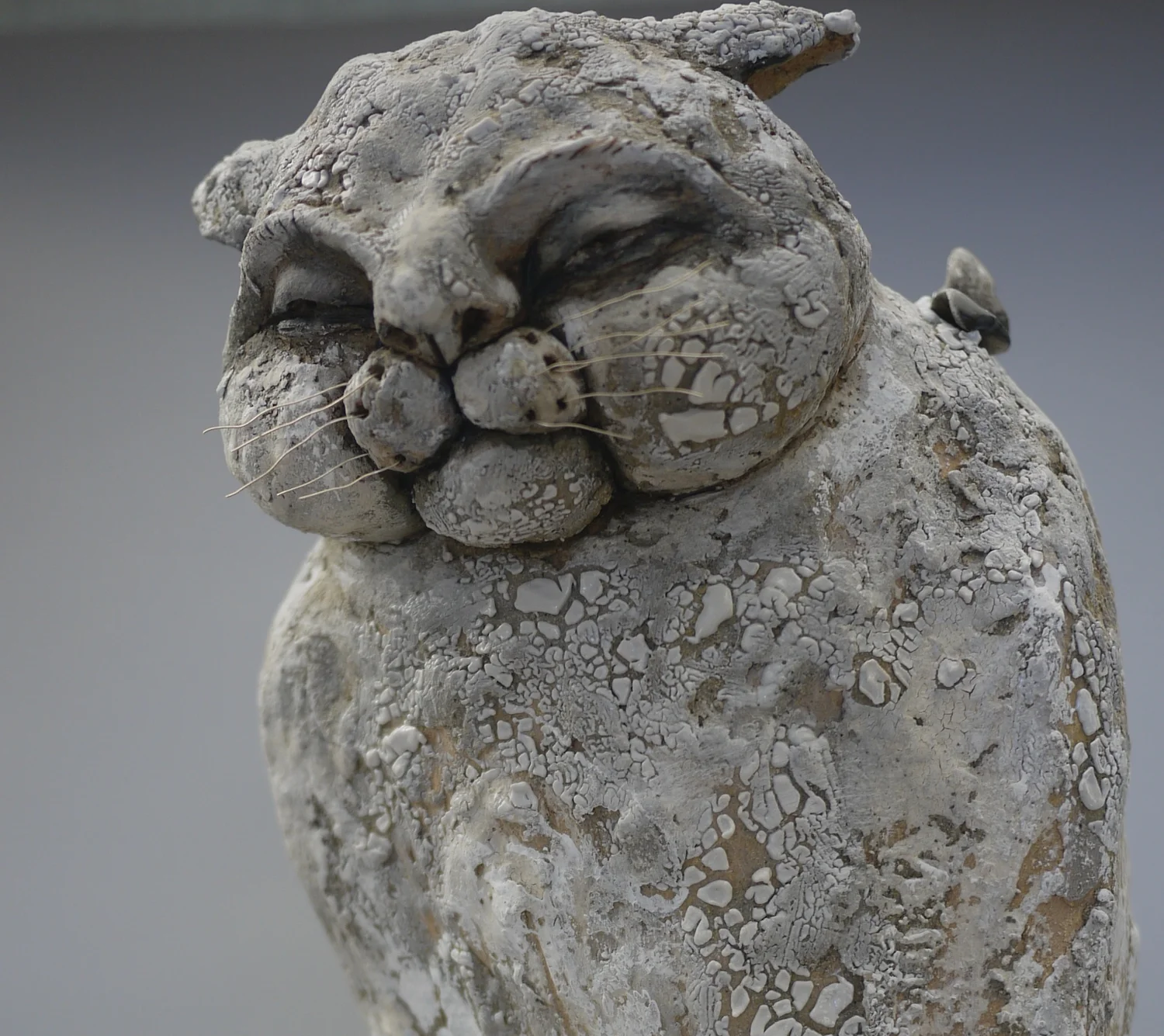 Mary McGill CeramicsMary McGill CeramicsMary McGill Ceramics