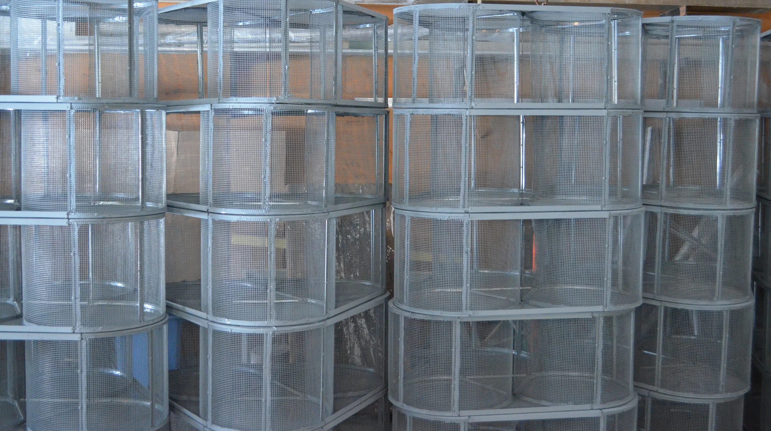 Palmer's Original Bait-less Clover-leaf Trap — Palmer Minnows