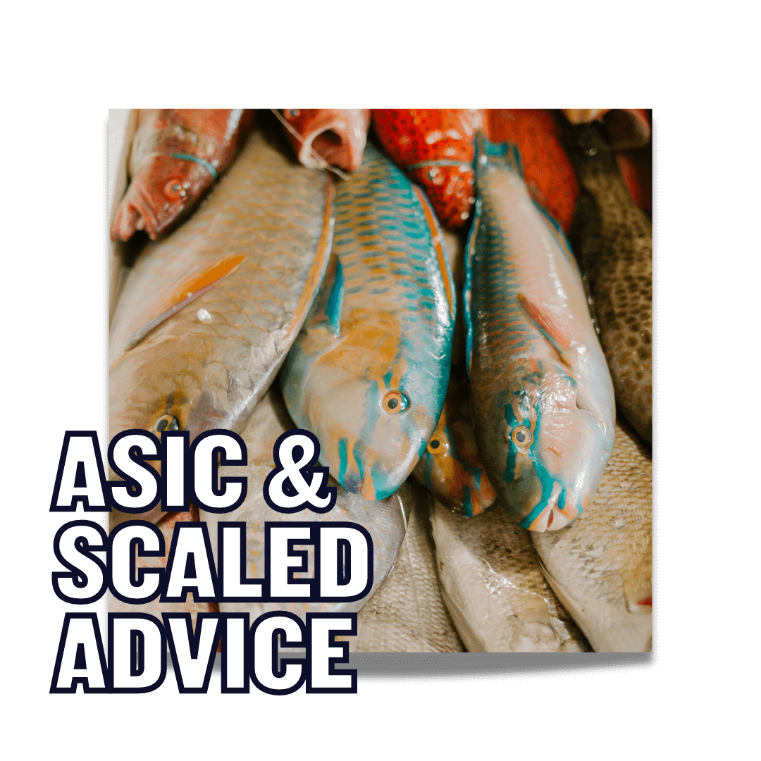 Engaging and practical insights — Assured Support