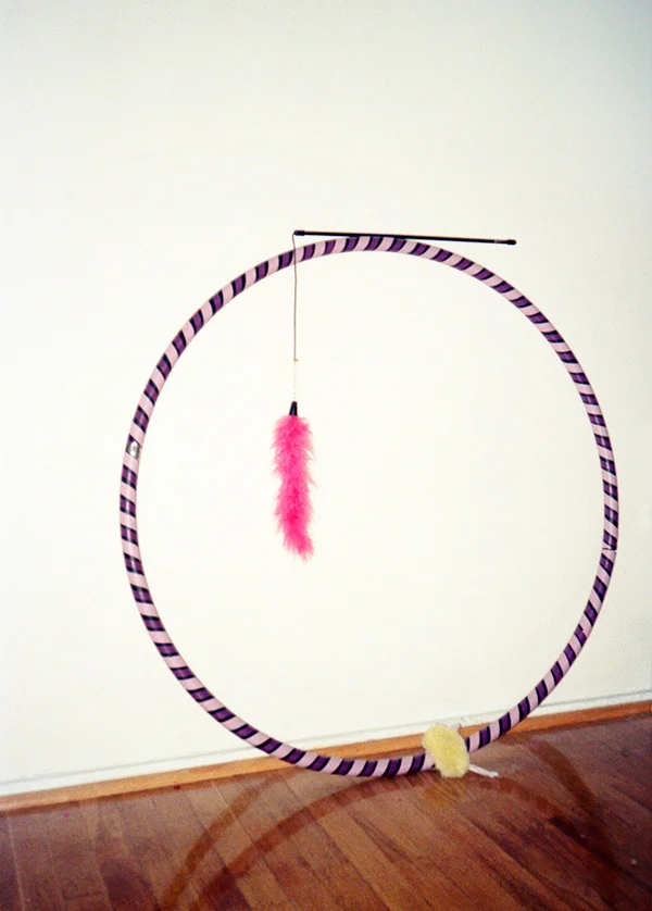 group show 41: New Cats in Art Photography — Humble Arts Foundation