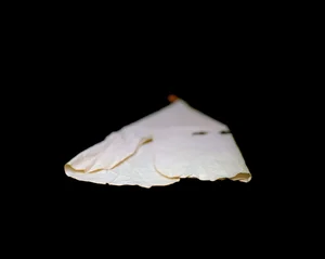 Wendel White's Still Life Artifacts From Slavery, Segregation and ...