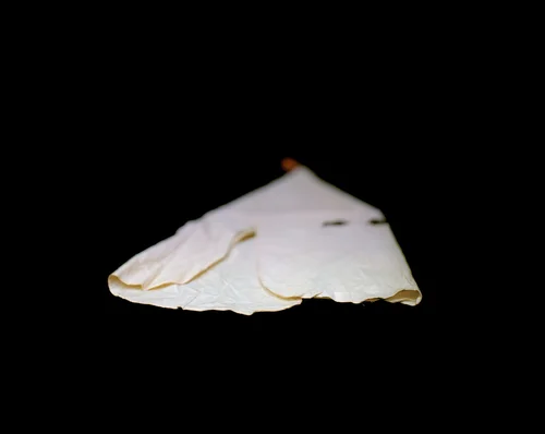 Wendel White's Still Life Artifacts From Slavery, Segregation and ...