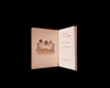 Wendel White's Still Life Artifacts From Slavery, Segregation and ...