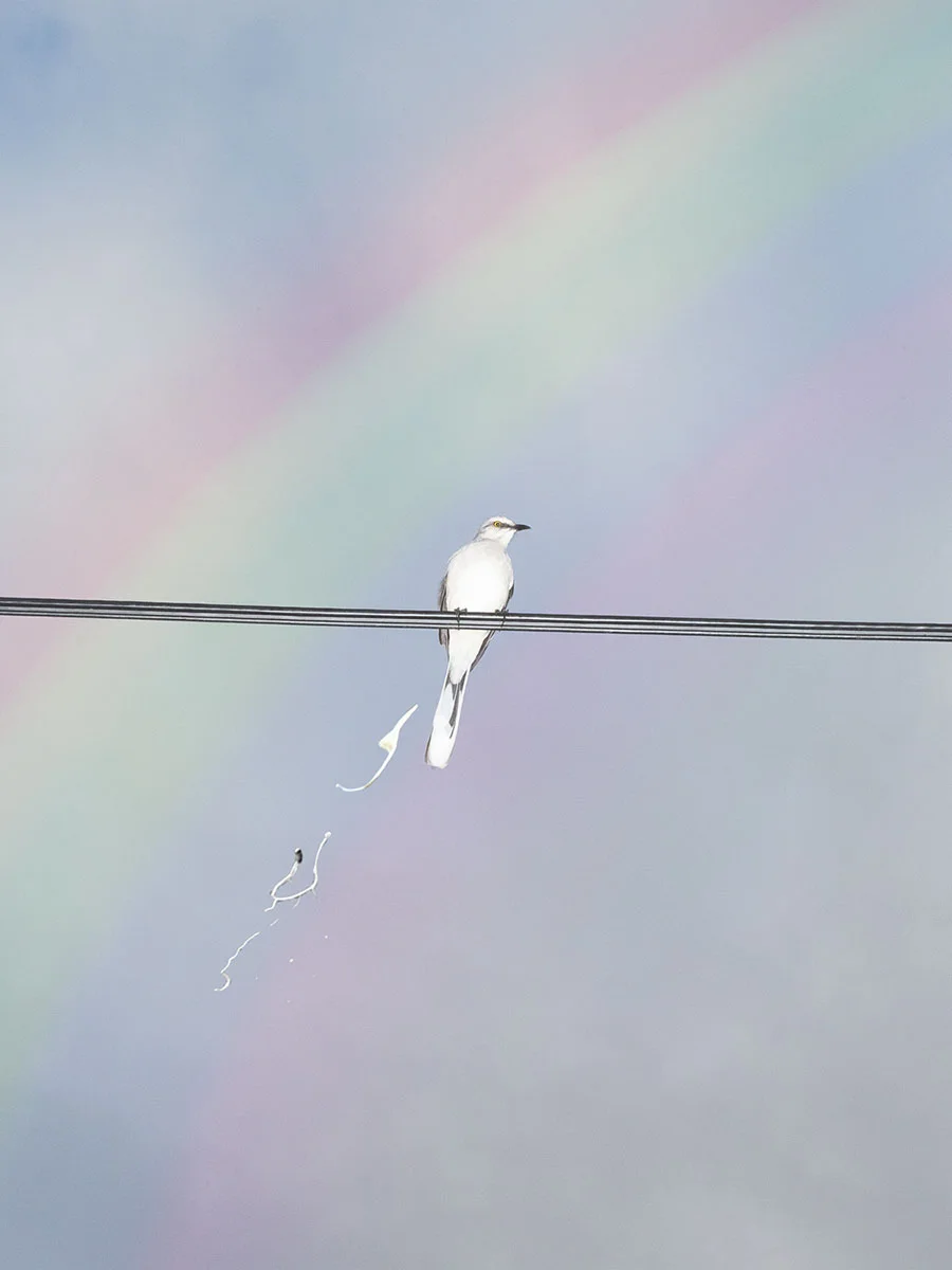 Kyle Berger May Be The Most "Whoa" Inducing Photographer on Instagram ...