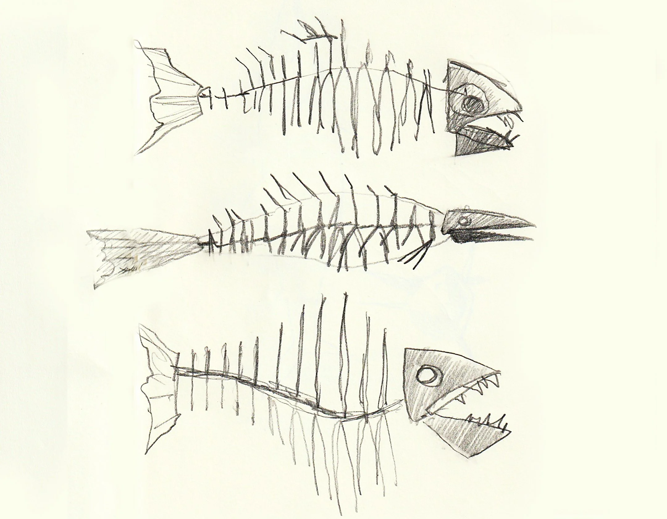 Chas Martin: Sculpture - Masks - Paintings Portland Art Studio ...