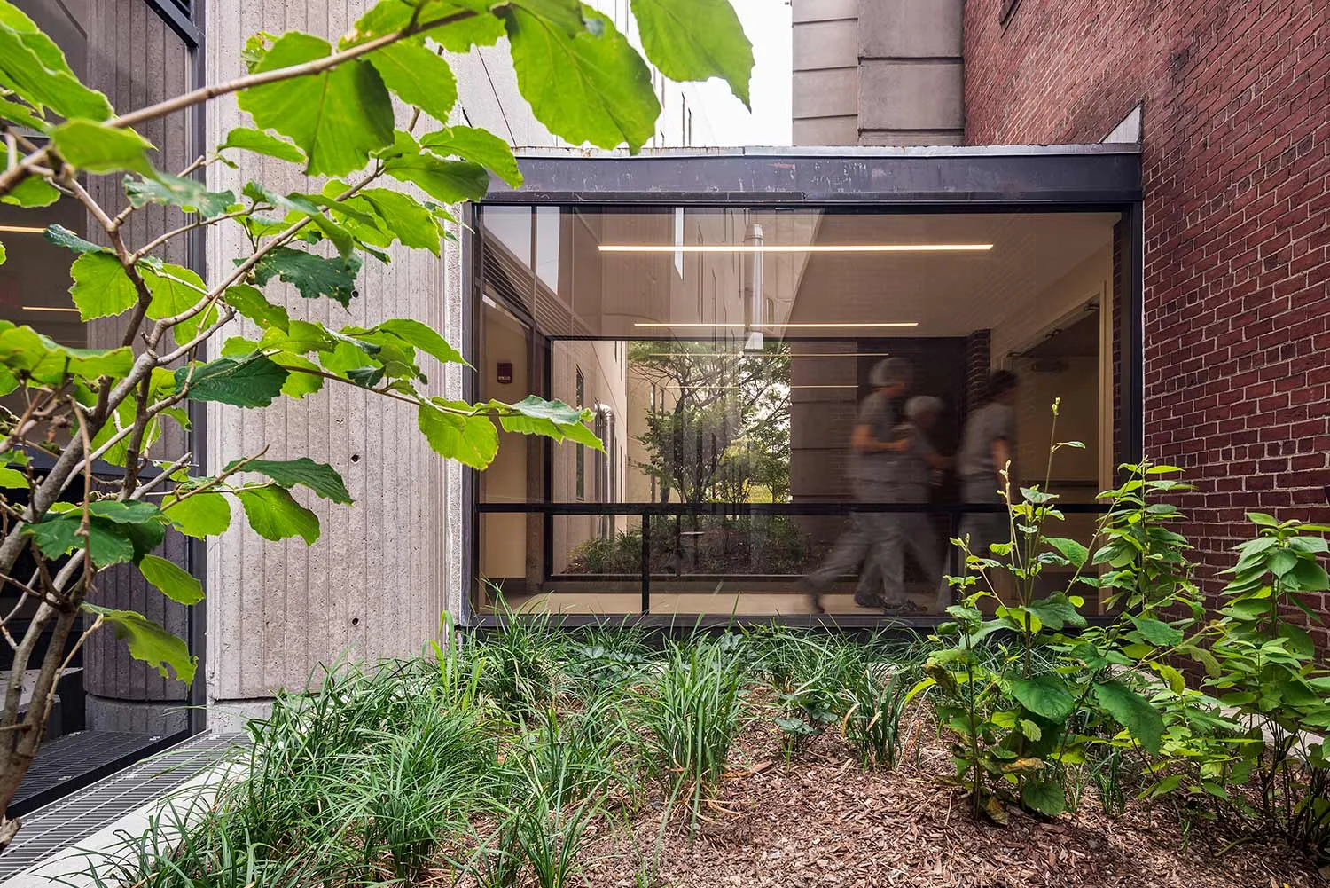 BWH 45 Francis Street — Klopfer Martin Design Group