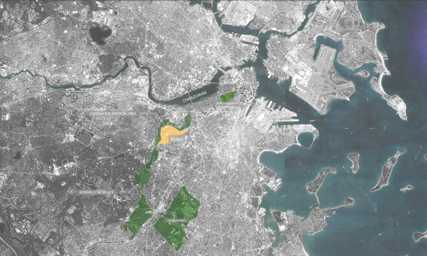 BWH Landscape Master Plan — Klopfer Martin Design Group