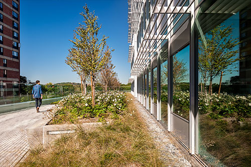 BWH Landscape Master Plan — Klopfer Martin Design Group