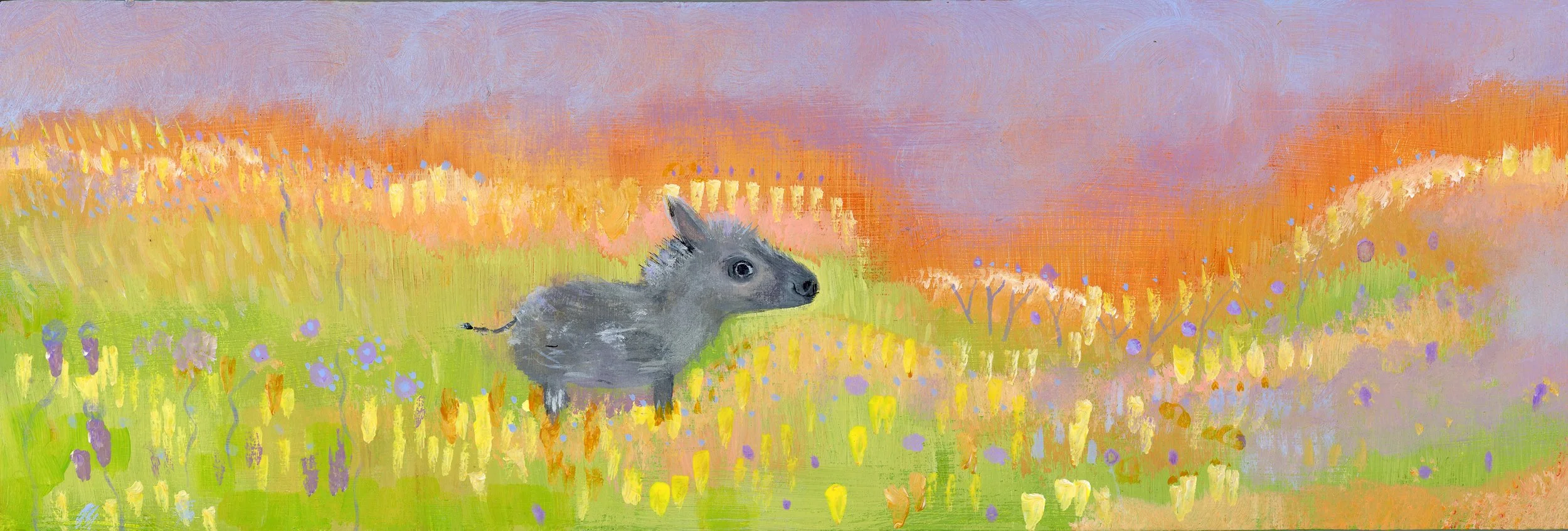 Sarah Jacoby Illustration