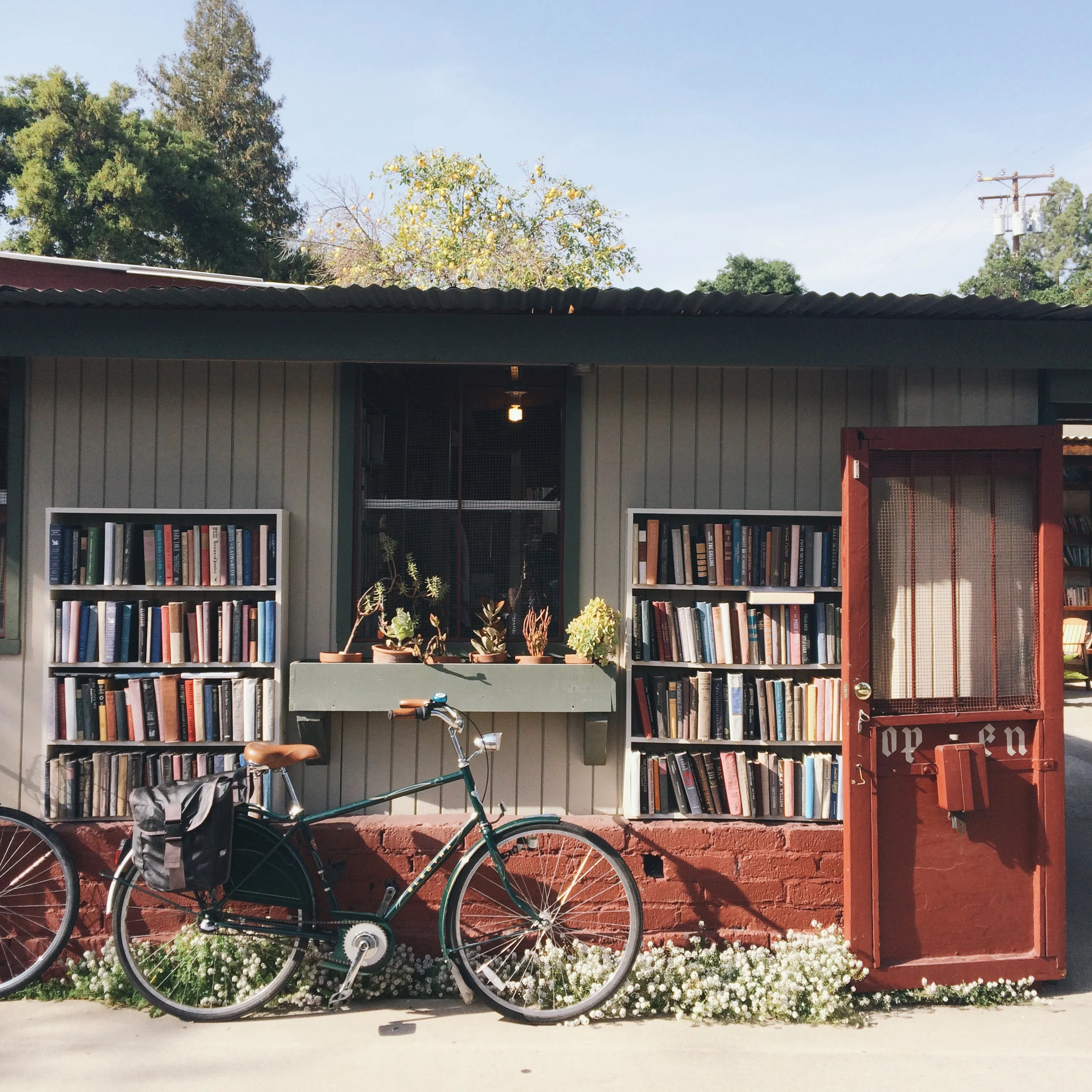 outdoor reading — PAPER & TYPE