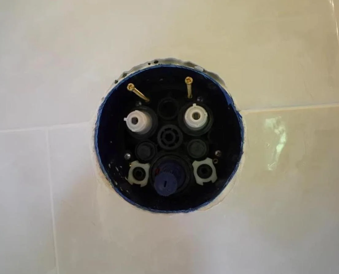 EASY PUSH BUTTON SHOWER — Bathroom Remodeling Teacher