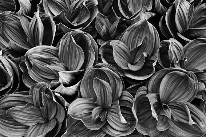 Fine Art Landscape and Nature Photography by William Neill ...