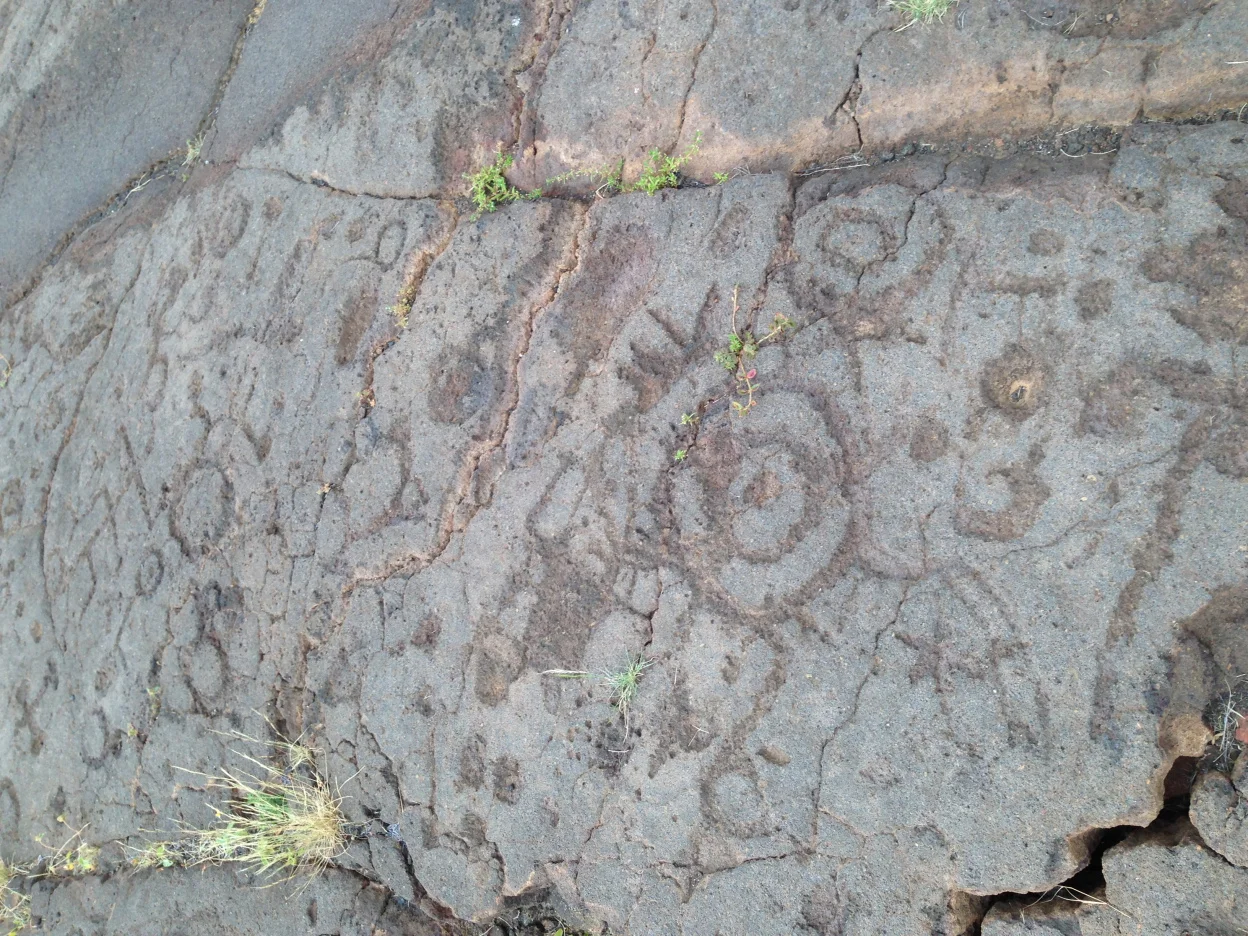 Ancient Hawaiian rock carvings- the Petroglyphs - Continuing Education ...