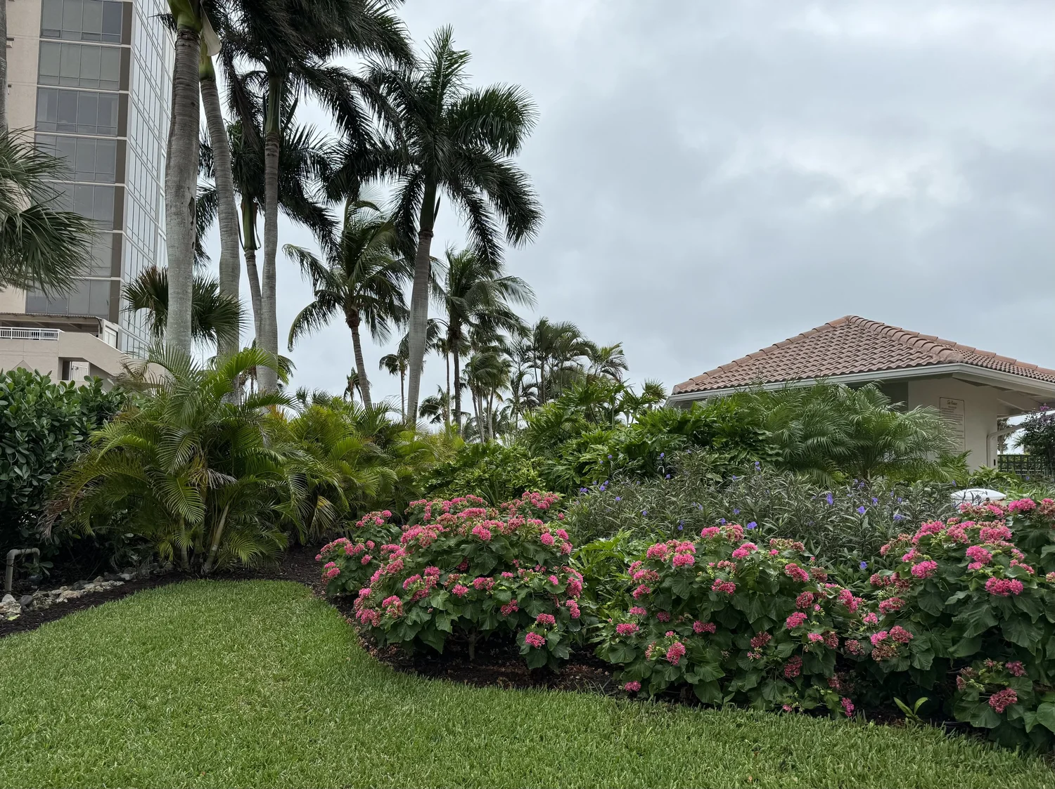 Work in Progress — Faithful Flowers