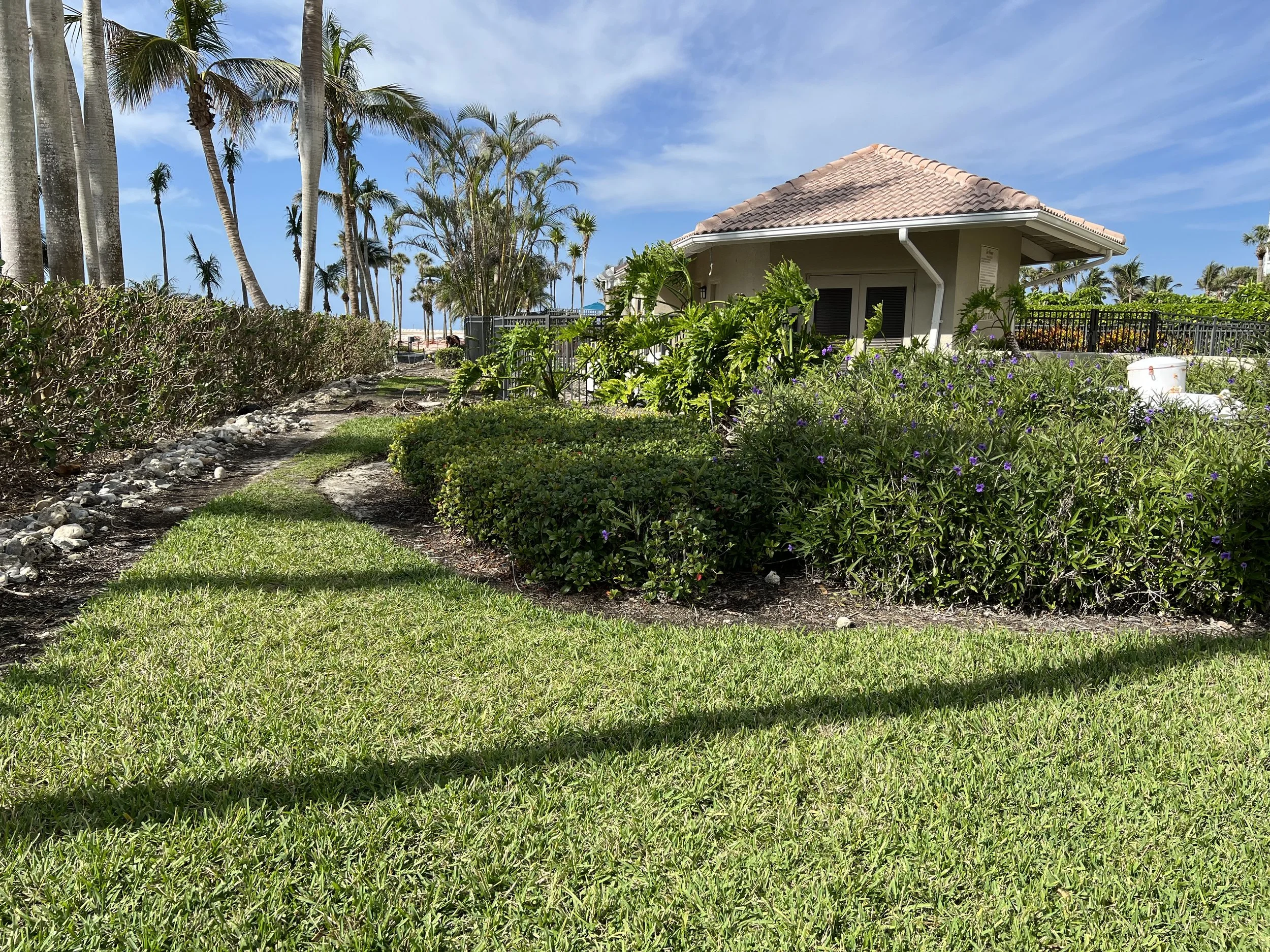 Work in Progress — Faithful Flowers