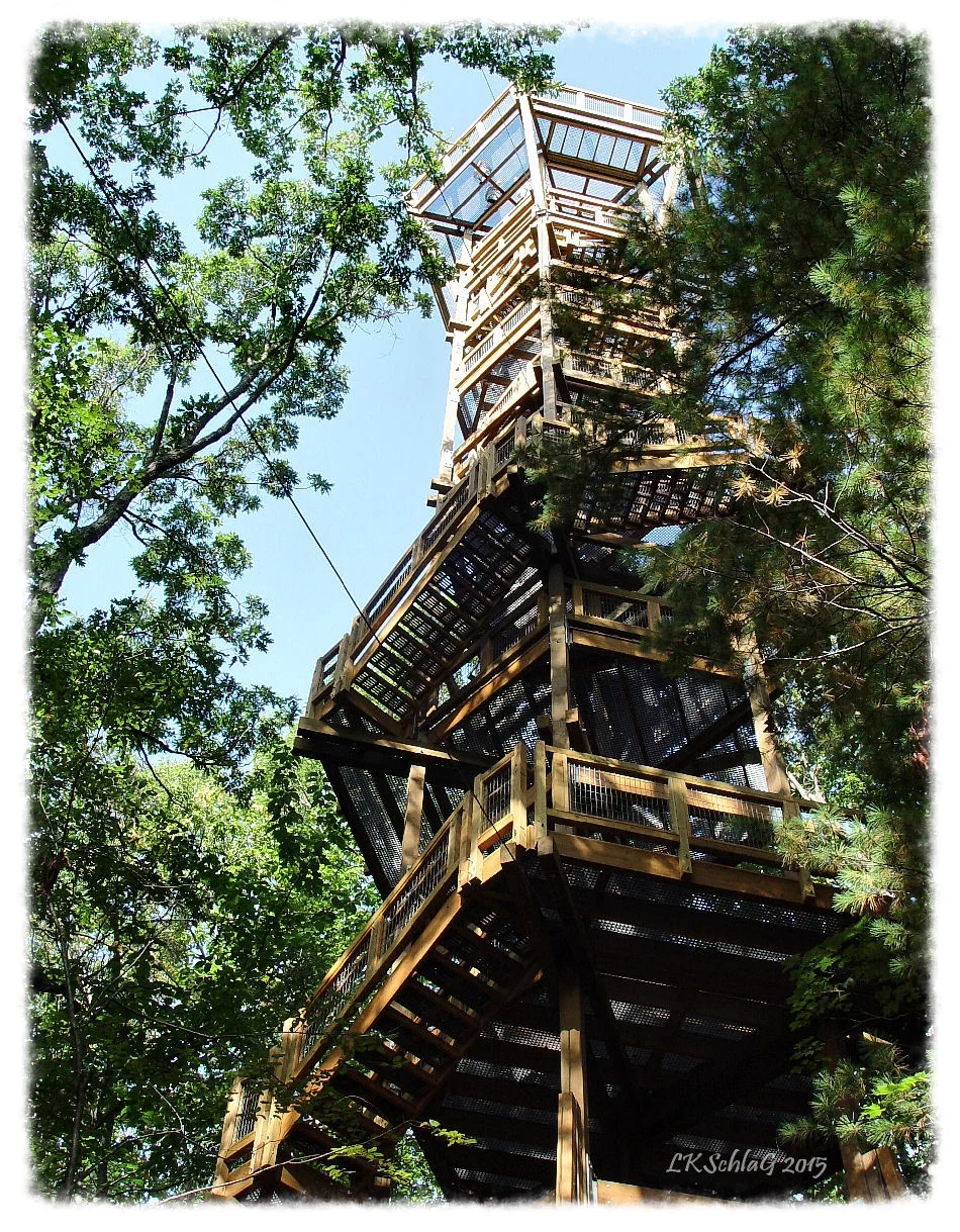 fieldNotesHoldenArb2015 — THE NATIVE PLANT SOCIETY OF NORTHEASTERN OHIO