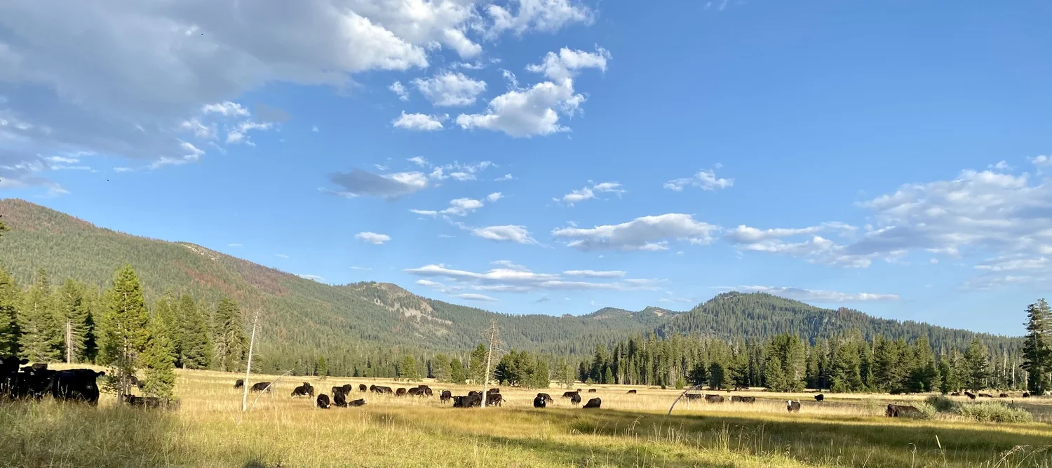 About — Hart Ranch