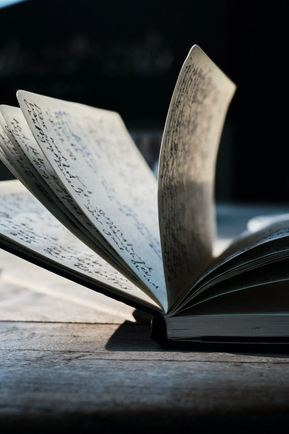 Jennifer Angela Lee / Exploring History and Culture Through Food